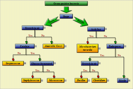 Diagramming for ASP.NET MVC - Programming Component for Flowcharts ...